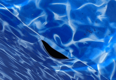 Let's Talk Vinyl Pool Repairs Perth – POOLWISE