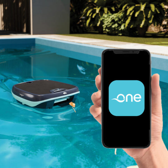 Dolphin Skimmi Robotic Pool Skimmer | Poolwise Perth – POOLWISE